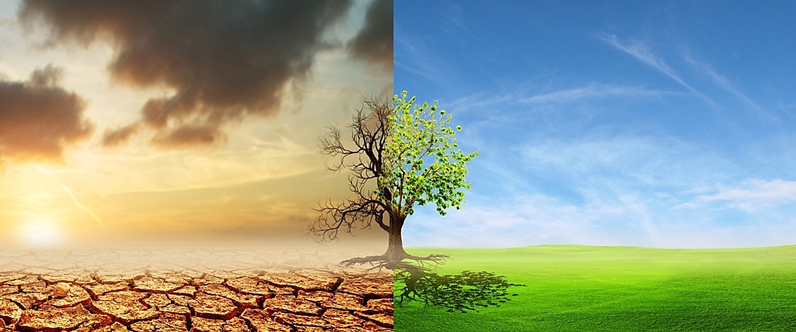 World Environment Day | How using an AquAid Water Cooler Helps